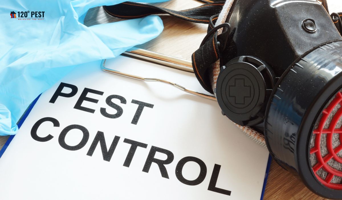 Safeguarding Your Home: The Significance of Pest Protection - 120 Pest ...